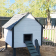 Chicken Coop Makeover - Stacy Risenmay
