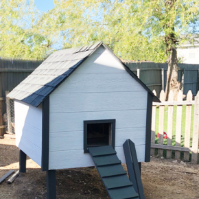 Chicken Coop Makeover - Stacy Risenmay