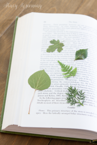 DIY Resin Drawer Knobs - Stacy Risenmay