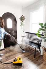 Steam Clean Your Whole House - Stacy Risenmay
