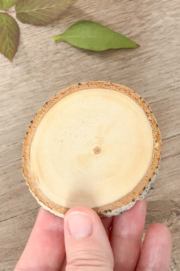 Sweet & Simple Pressed Flower Ornaments (Easy DIY Nature Crafts)